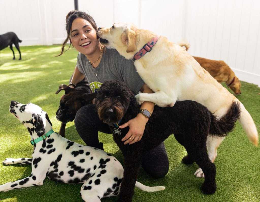 About Us - Pet Resort Hospitality Group